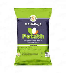 Packaging - Pro In Design